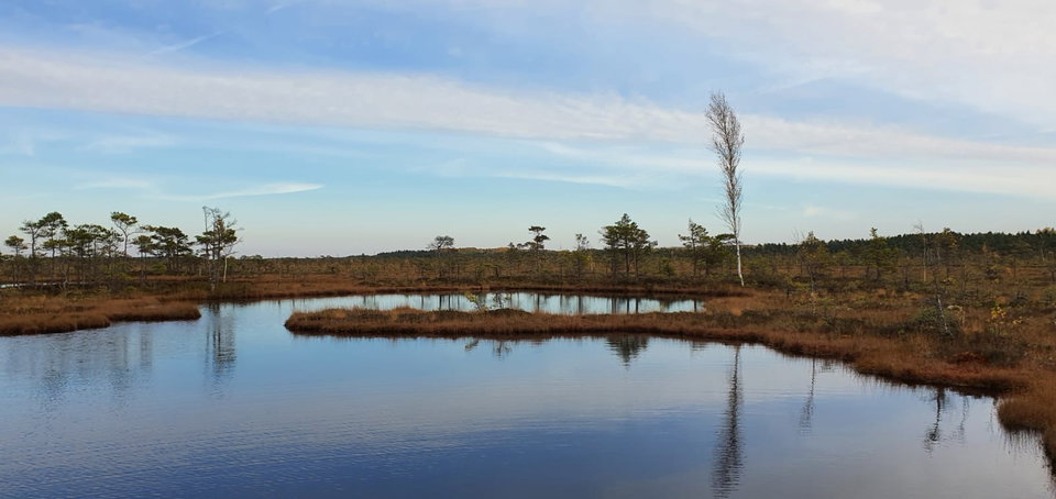 Autumn Bog Walking In Estonia - Baltic Holidays