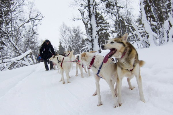 Lulea Winter Experience - Baltic Holidays