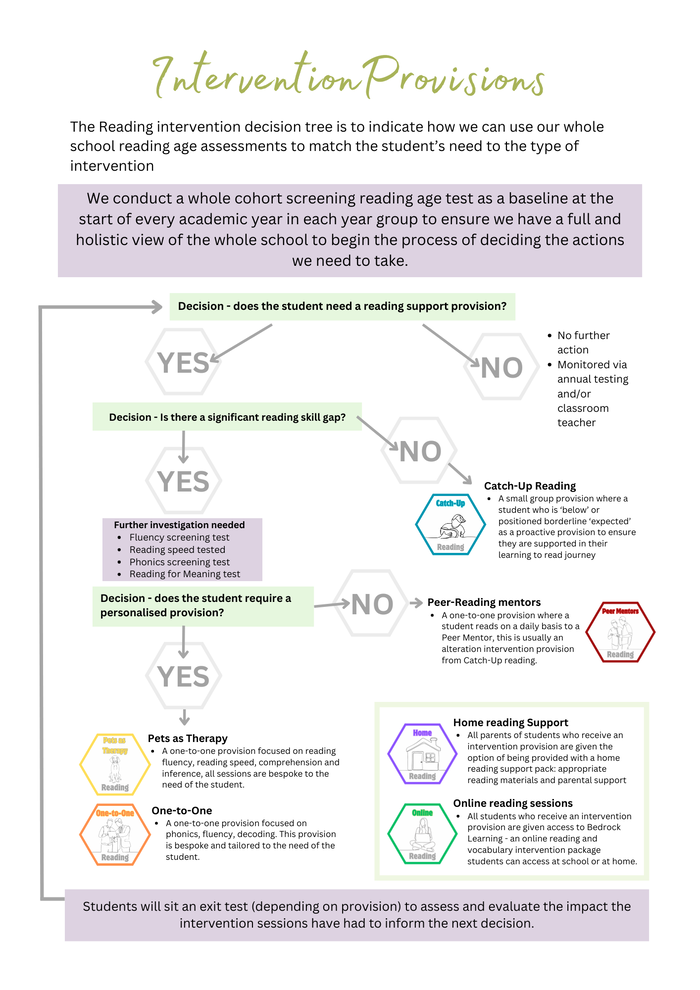Reading Intervention Provisions - Castle View Enterprise Academy