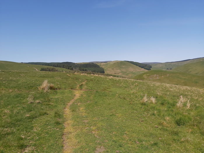 Barrow Law In The Cheviots - Cheviot99