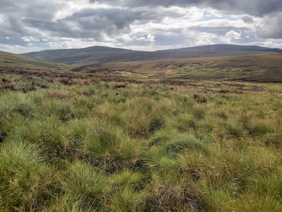 Breamish Head In The Cheviots - Cheviot99
