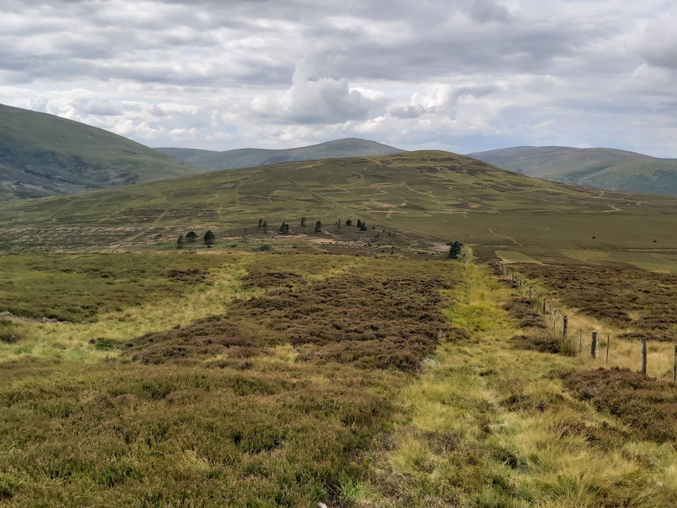 Coldburn Hill In The Cheviots - Cheviot99