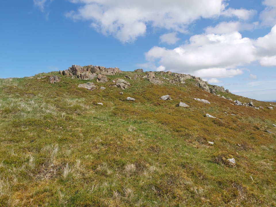 Easter Tor In The Cheviots - Cheviot99