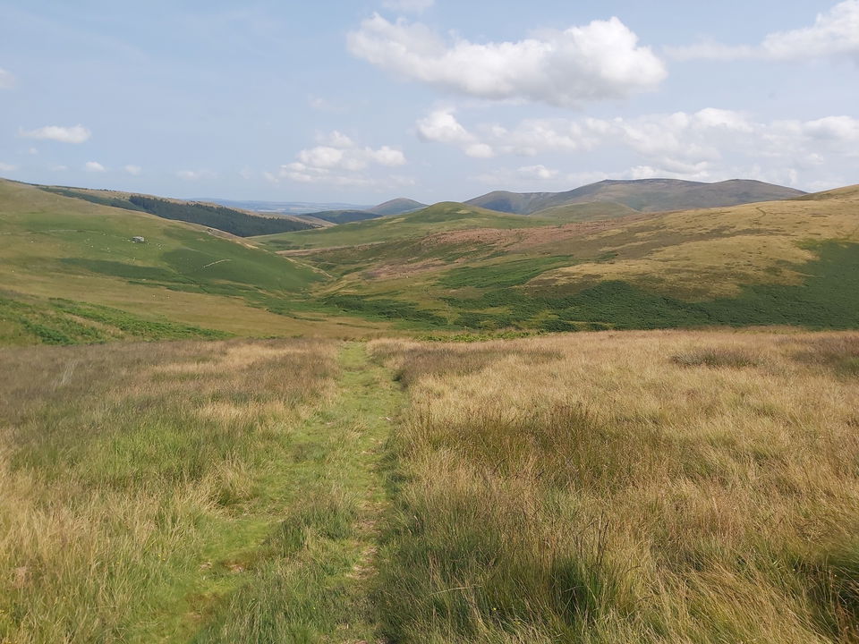 Ell's Knowe In The Cheviots - Cheviot99