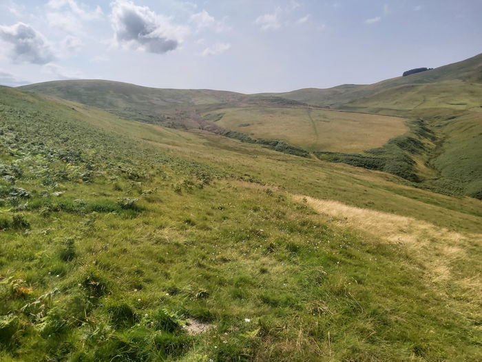 Ell's Knowe In The Cheviots - Cheviot99