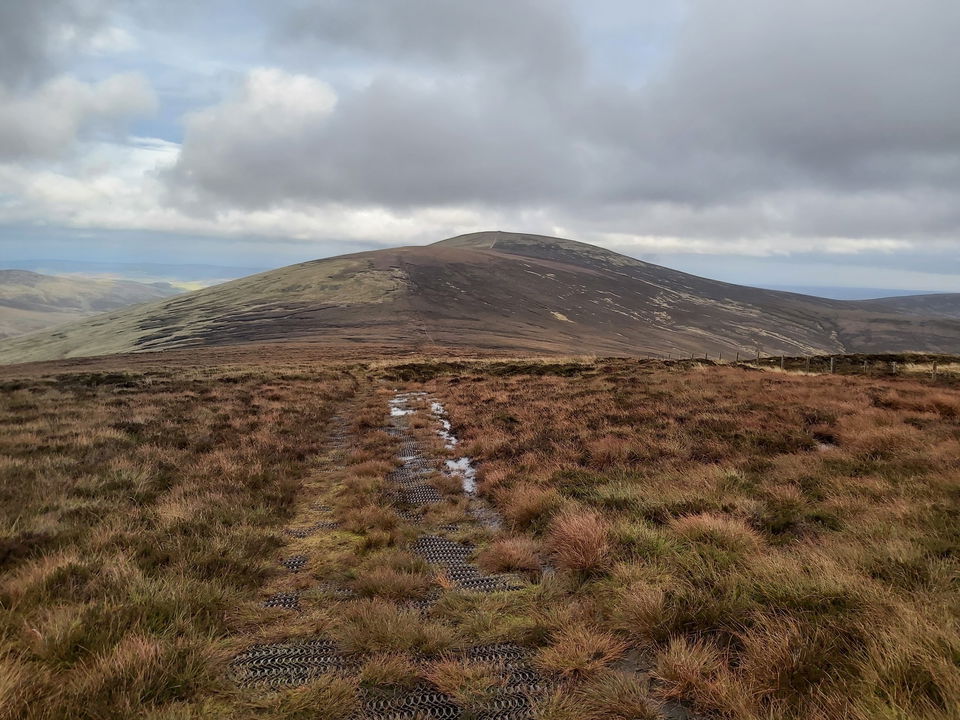 Hedgehope Hill In The Cheviots - Cheviot99