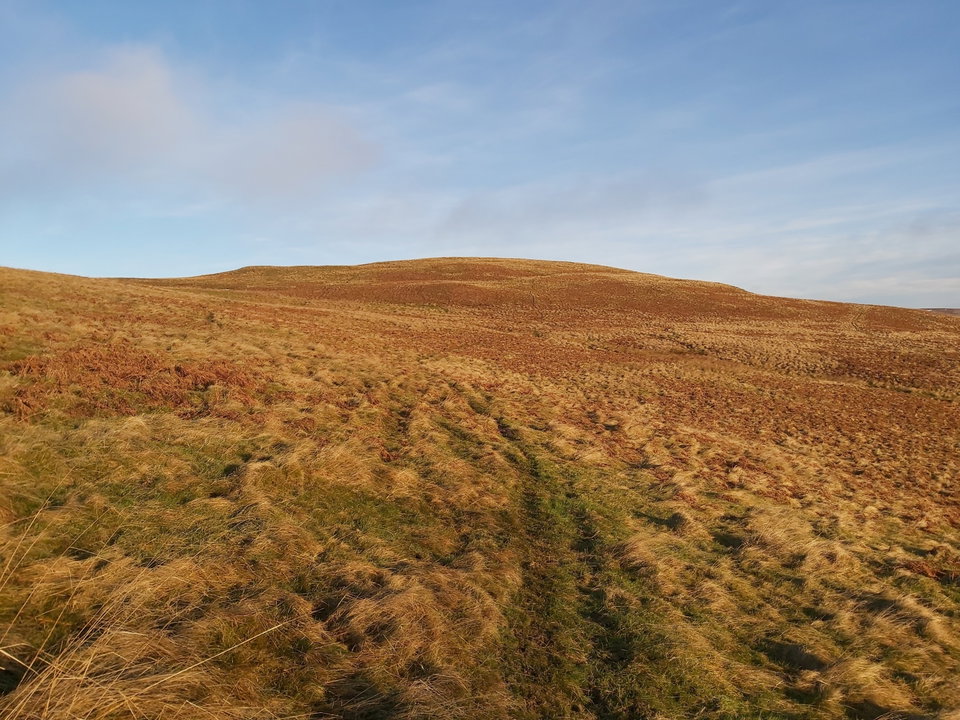 Lords Seat In The Cheviots - Cheviot99