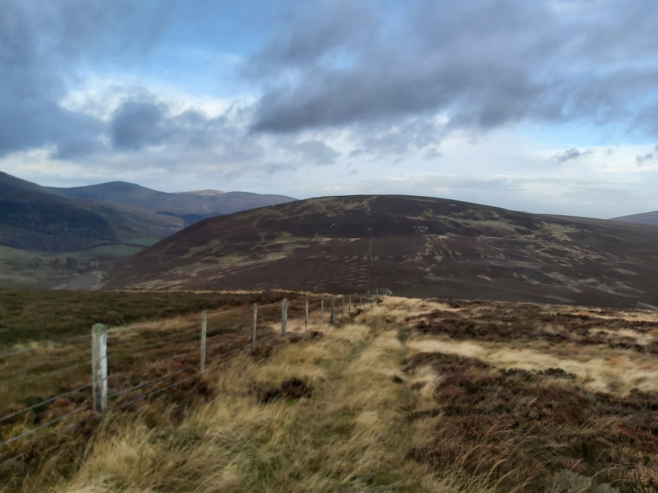 Preston Hill In The Cheviots - Cheviot99