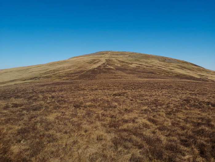 The Schil In The Cheviots - Cheviot99