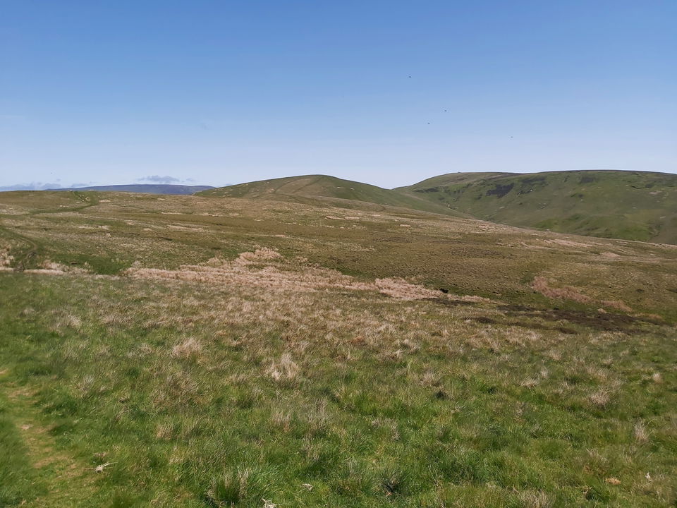 Windy Gyle In The Cheviots - Cheviot99