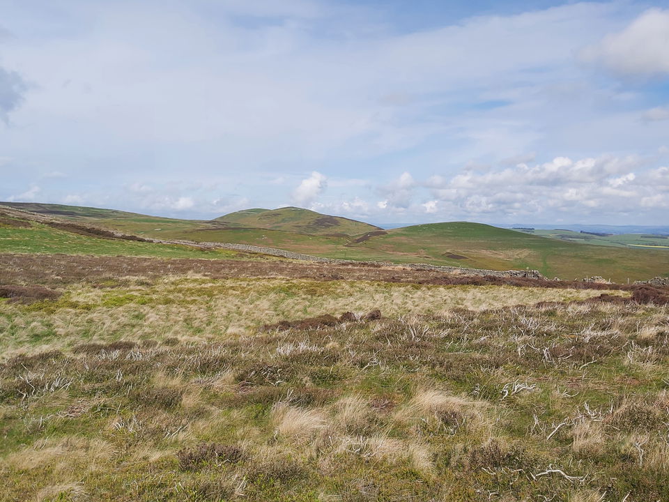 Yeavering Bell In The Cheviots - Cheviot99