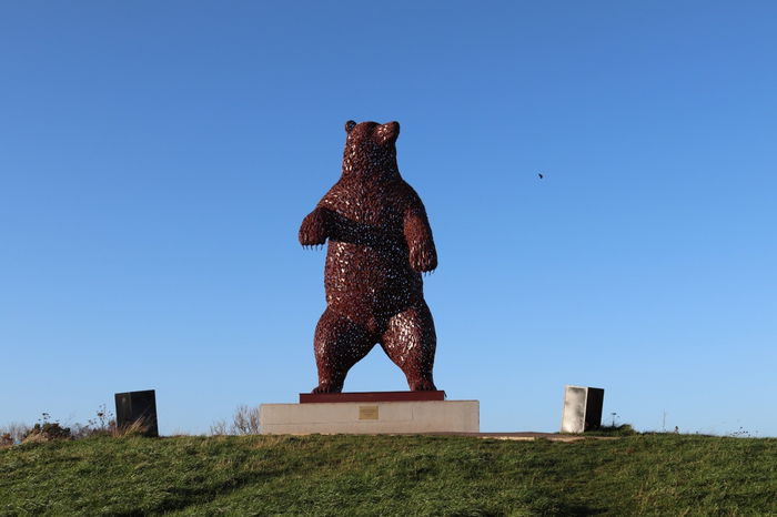 Dunbar Bear - DunBear In Dunbar - Fabulous North