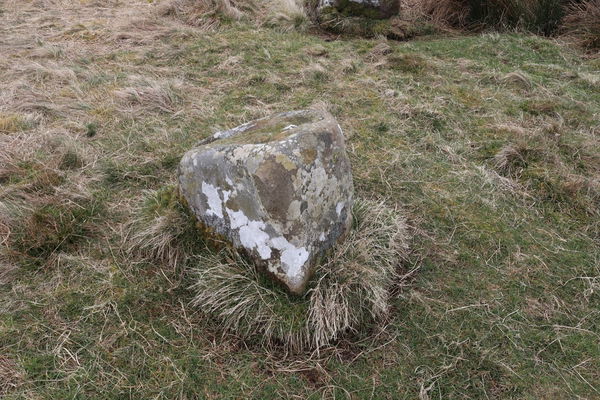 Goatstones In Simonburn - Fabulous North
