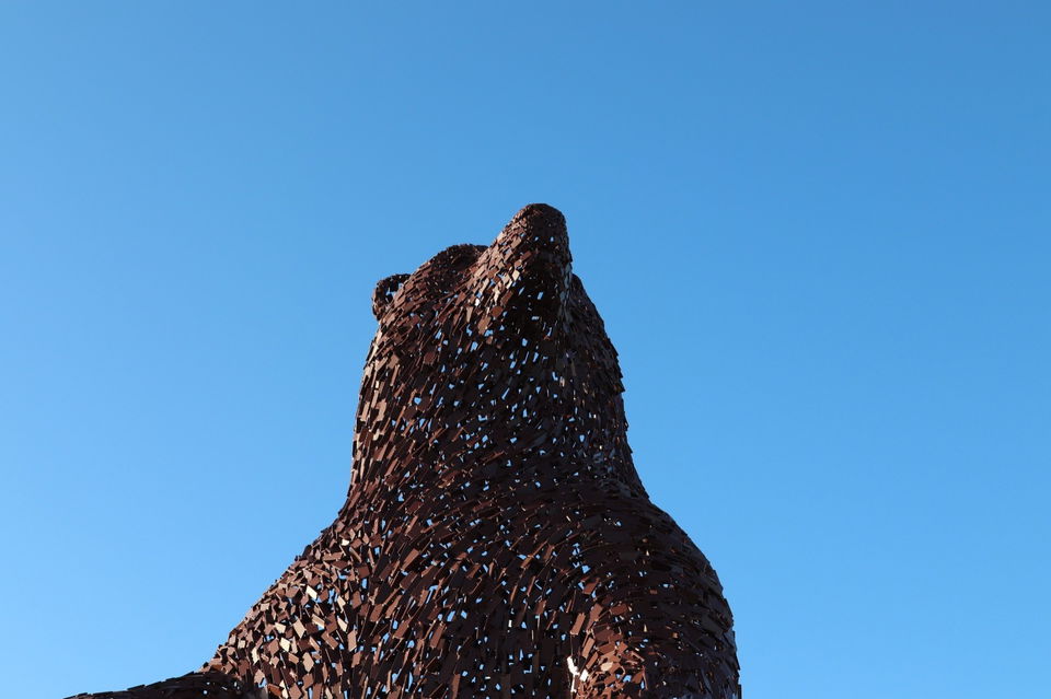 Dunbar Bear - DunBear In Dunbar - Fabulous North