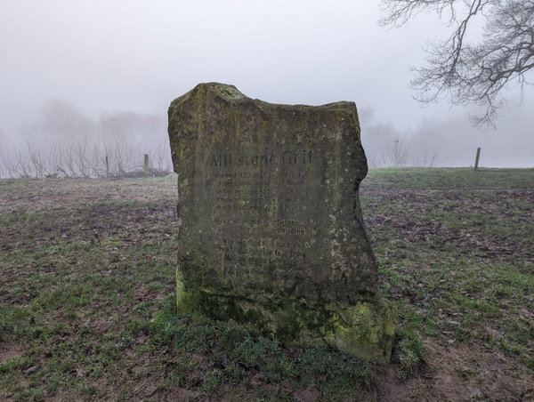 Rickerby Park Stone Circle In Carlisle - Fabulous North