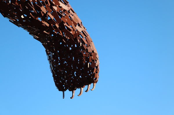 Dunbar Bear - DunBear In Dunbar - Fabulous North