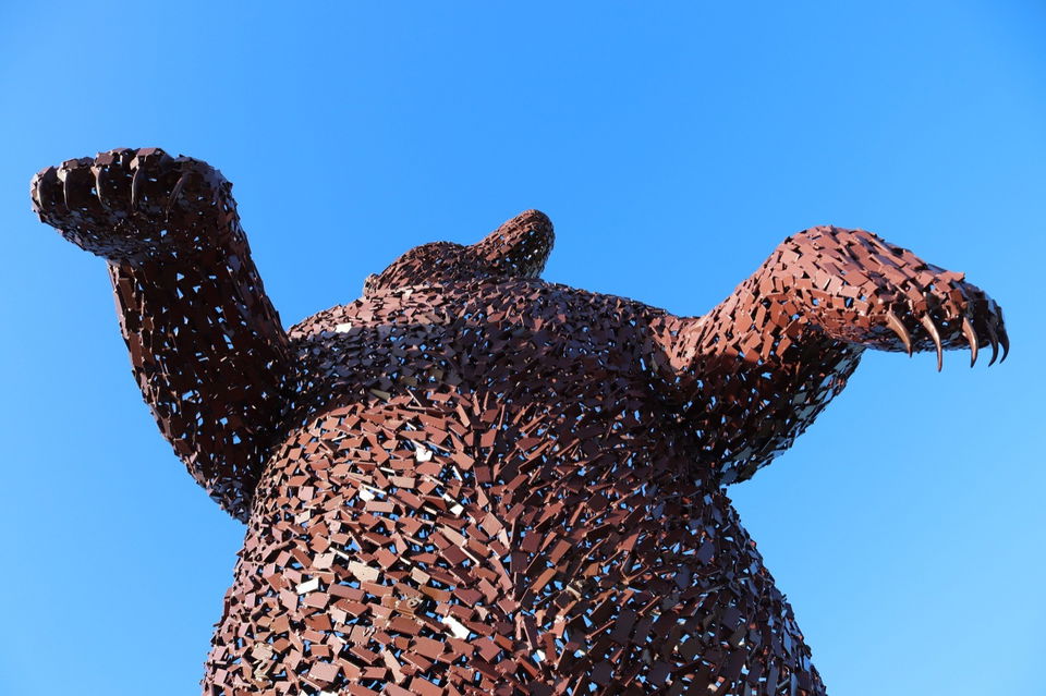 Dunbar Bear - DunBear In Dunbar - Fabulous North