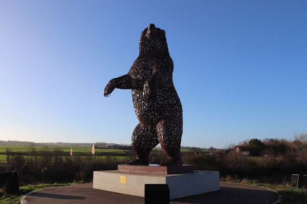 Dunbar Bear - DunBear In Dunbar - Fabulous North