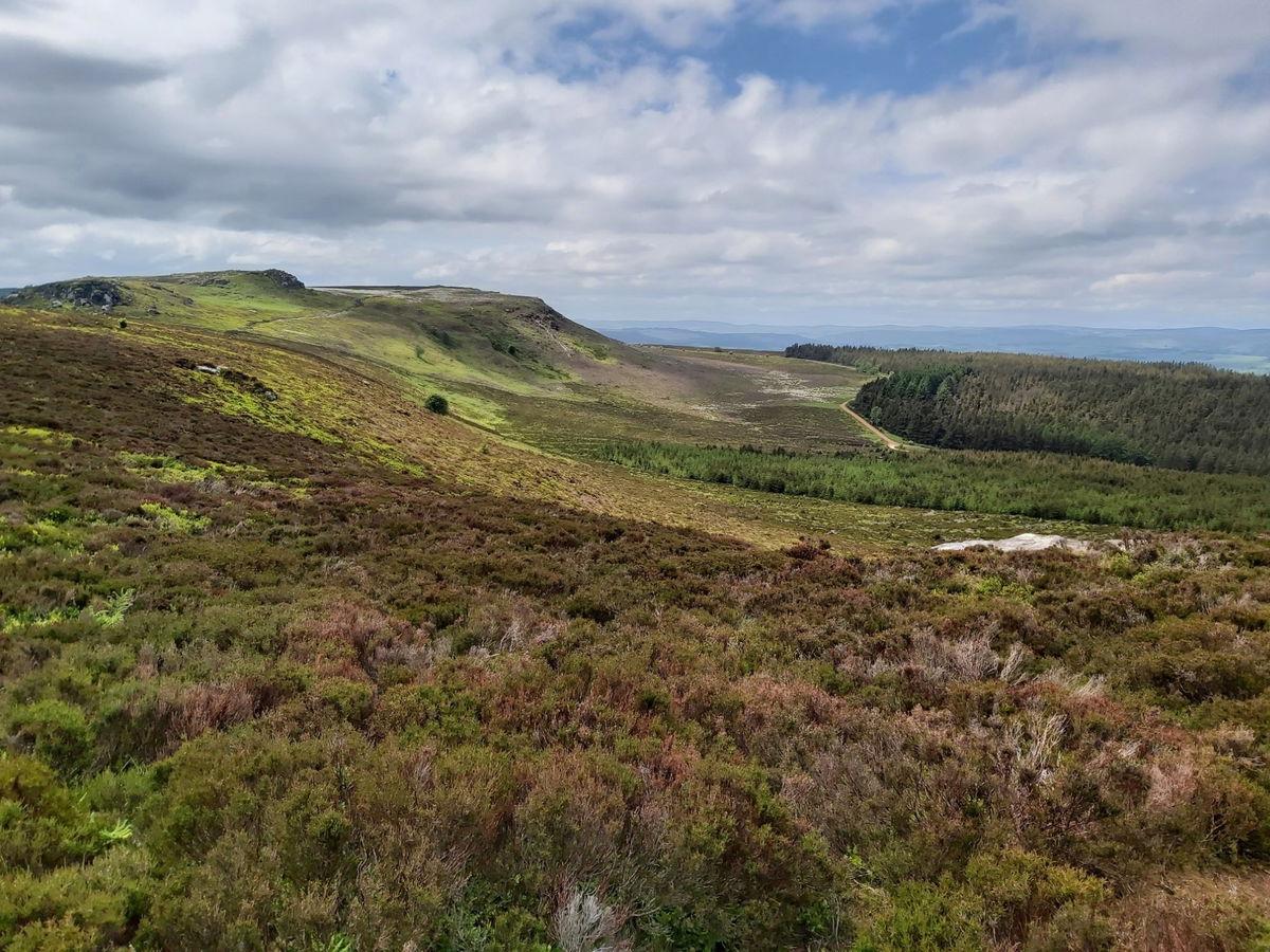 Simonside Hills in Rothbury - Fabulous North