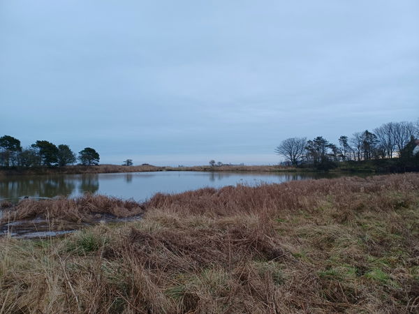 Embleton Quarry Nature Reserve in Craster - Fabulous North Embleton Quarry Nature Reserve in Craster - Fabulous North