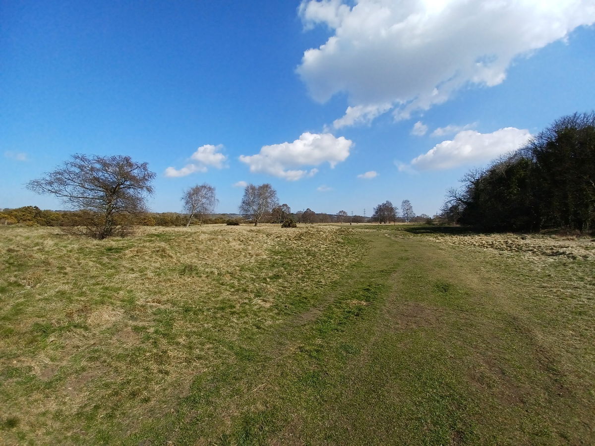 Newburn Ford Battlefield and Ryton Willows in Wylam - Fabulous North