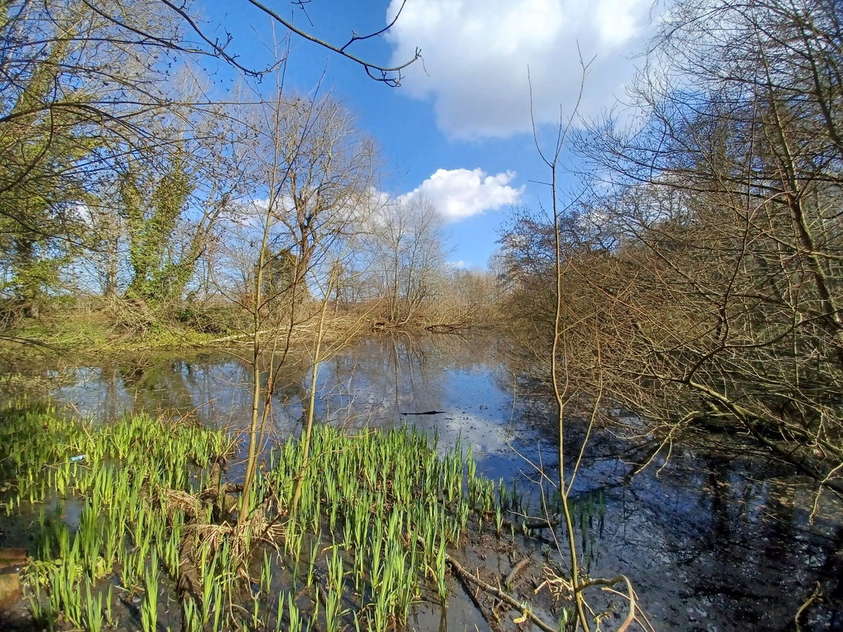 Newburn Ford Battlefield and Ryton Willows in Wylam - Fabulous North