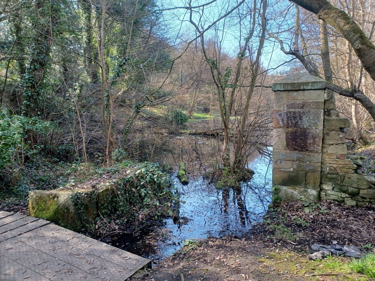 Newburn Ford Battlefield and Ryton Willows in Wylam - Fabulous North
