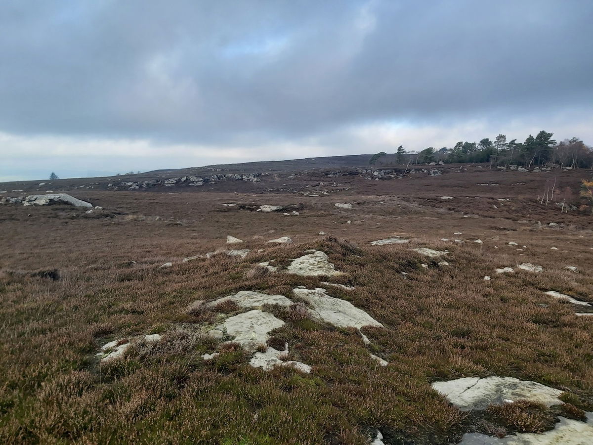 Upper Rothbury And Cartington Hill in Rothbury - Fabulous North