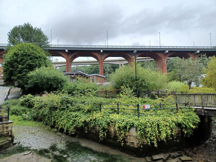 Ouseburn Farm In Newcastle City Centre - Fabulous North