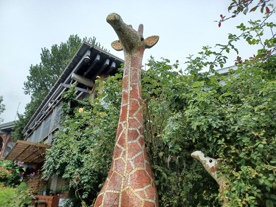 Ouseburn Farm In Newcastle City Centre - Fabulous North