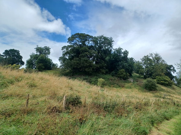 Roxburgh Castle In Kelso - Fabulous North