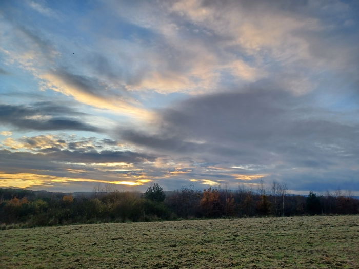 Elba Park In Durham - Fabulous North