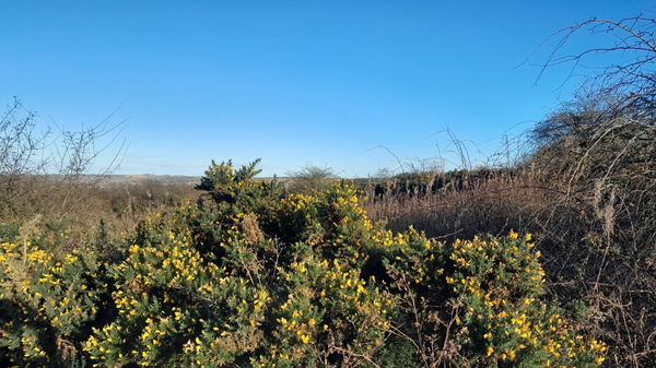 Elemore Park In Houghton-le-Spring - Fabulous North