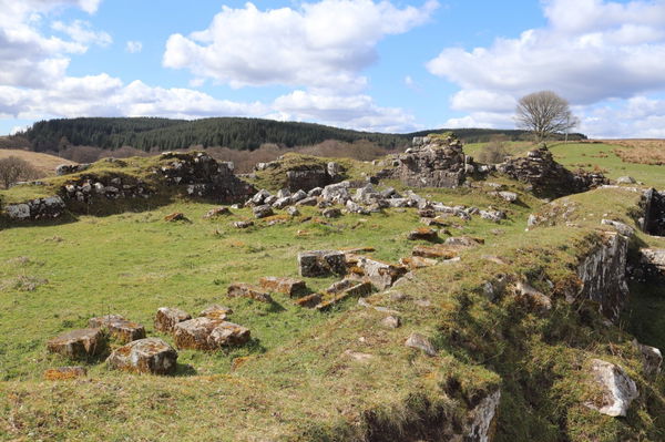 Dally Castle In Bellingham - Fabulous North