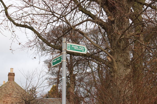 Barnes Castle In East Lothian - Fabulous North