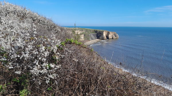 Chemical Beach, Noses Point, Near Seaham In Seaham - Fabulous North