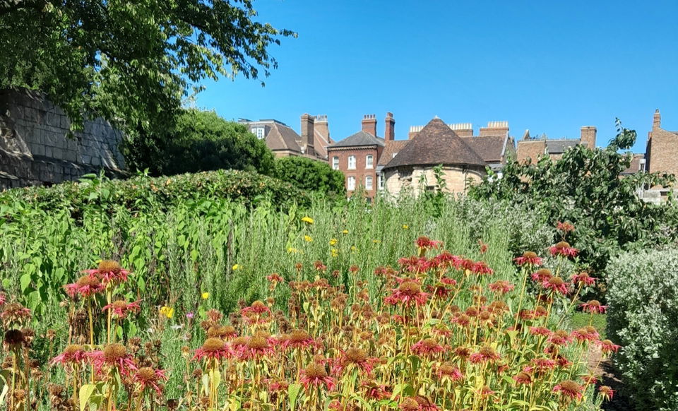 York Museum Gardens, Yorkshire. In York - Fabulous North