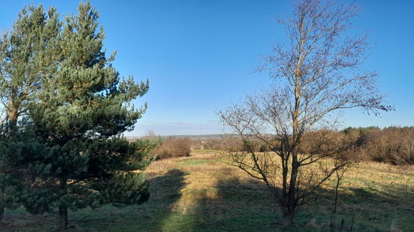 Elemore Park In Houghton-le-Spring - Fabulous North