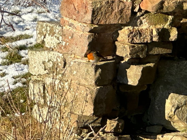 Ridsdale Iron Works In Ridsdale - Fabulous North