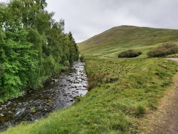 Walk Up Yearning Law, Border Ridge To Windy Gyle In The Cheviots ...