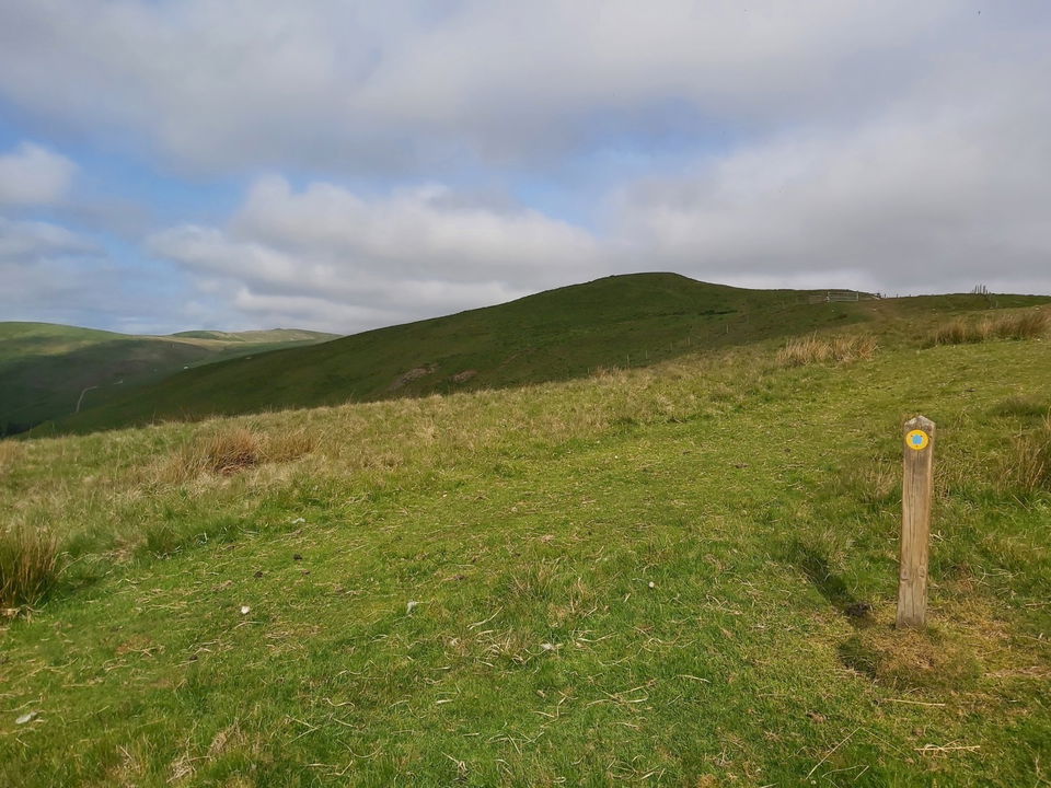 Walk Up Yearning Law, Border Ridge To Windy Gyle In The Cheviots ...