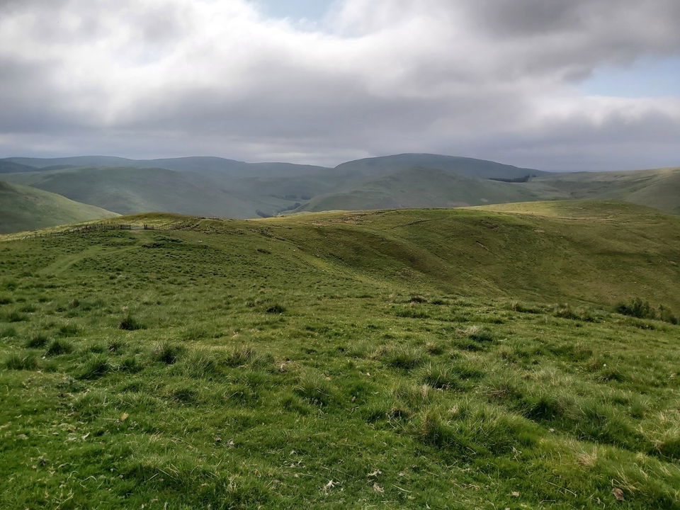 Walk Up Yearning Law, Border Ridge To Windy Gyle In The Cheviots ...