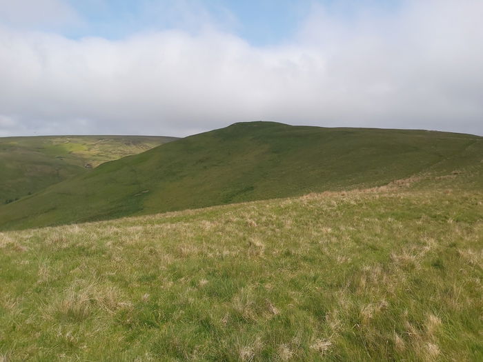 Walk Up Yearning Law, Border Ridge To Windy Gyle In The Cheviots ...