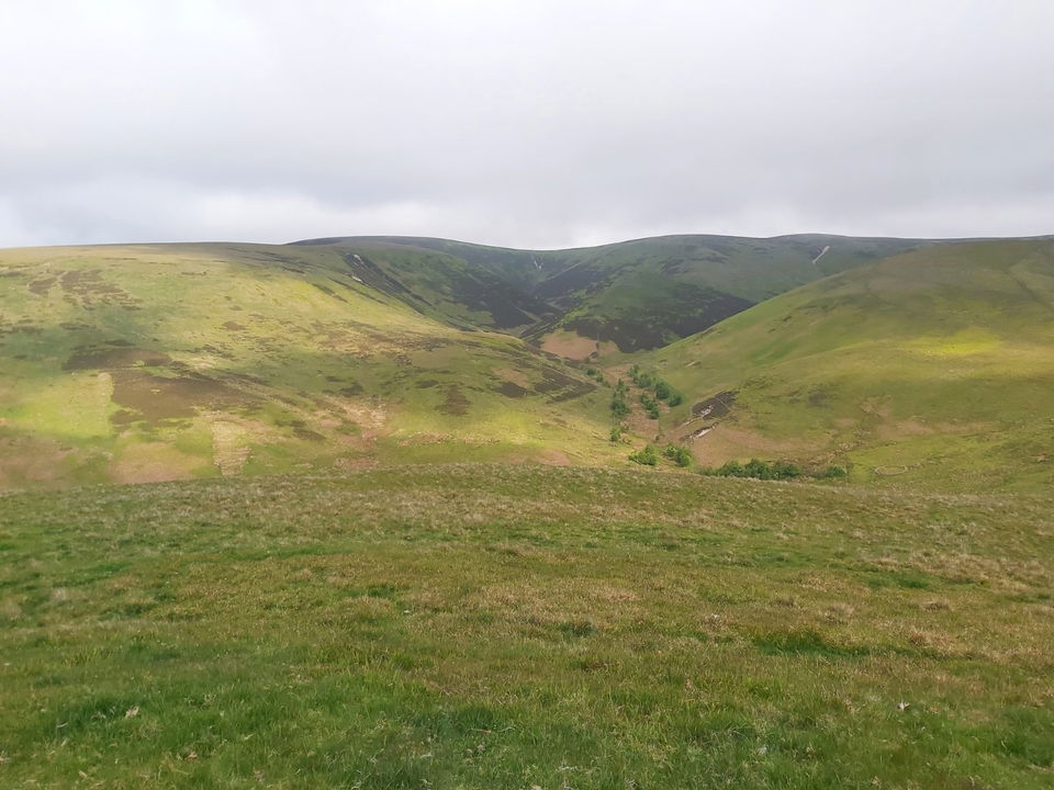 Walk Up Yearning Law, Border Ridge To Windy Gyle In The Cheviots ...