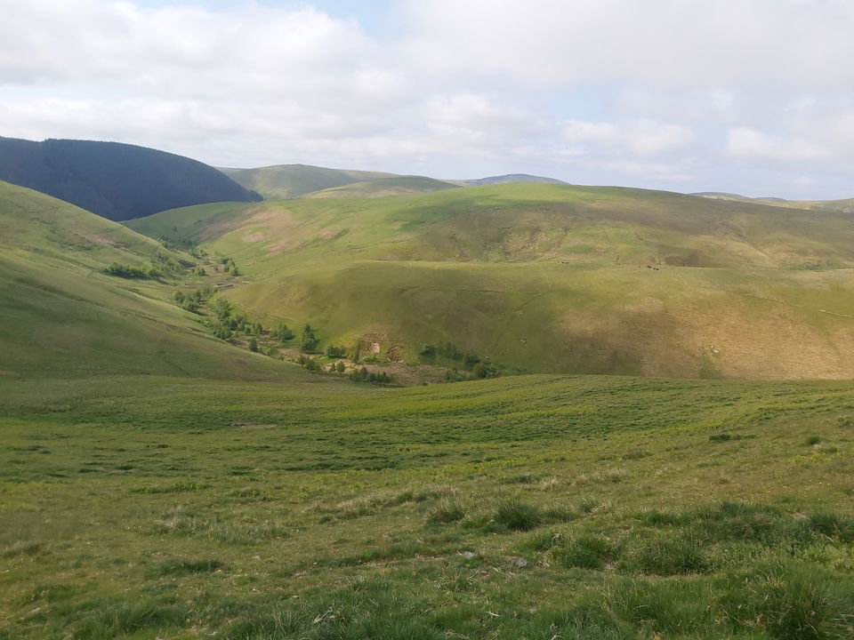 Walk Up Yearning Law, Border Ridge To Windy Gyle In The Cheviots ...