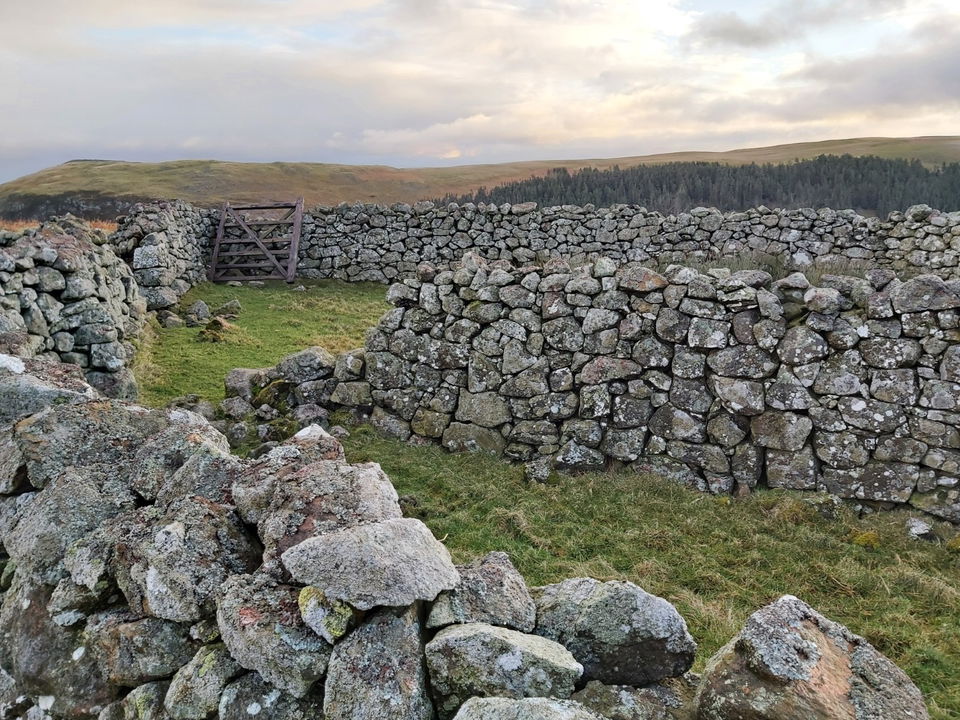 Walk To Shepherd's Cairn And Brough Law In Ingram Valley - Fabulous North