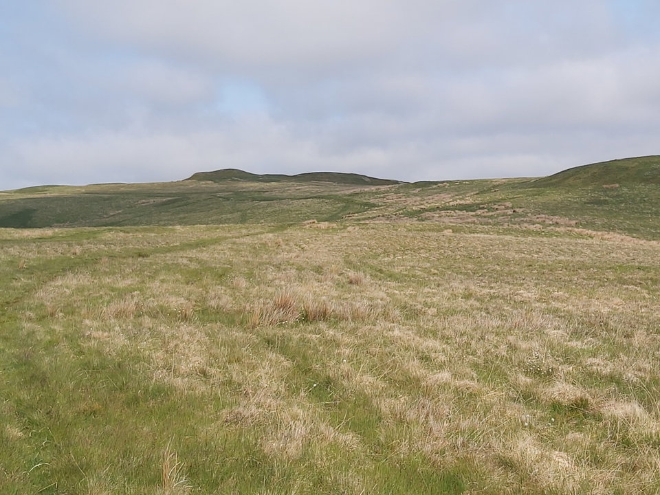 Walk Up Yearning Law, Border Ridge To Windy Gyle In The Cheviots ...