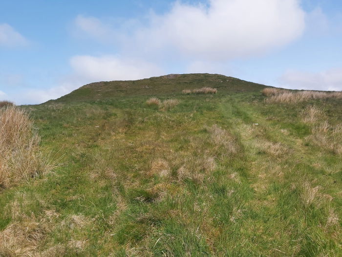 Walk Up Yearning Law, Border Ridge To Windy Gyle In The Cheviots ...