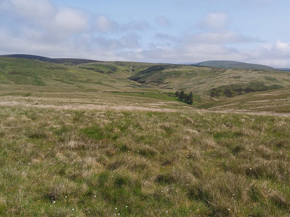 Walk Up Yearning Law, Border Ridge To Windy Gyle In The Cheviots ...