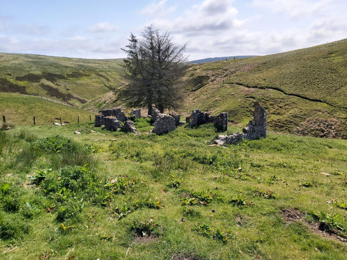 Walk Up Yearning Law, Border Ridge To Windy Gyle In The Cheviots ...